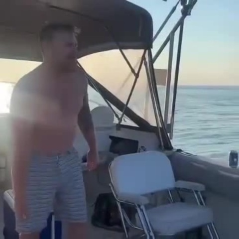 Catching a seagull - Coub