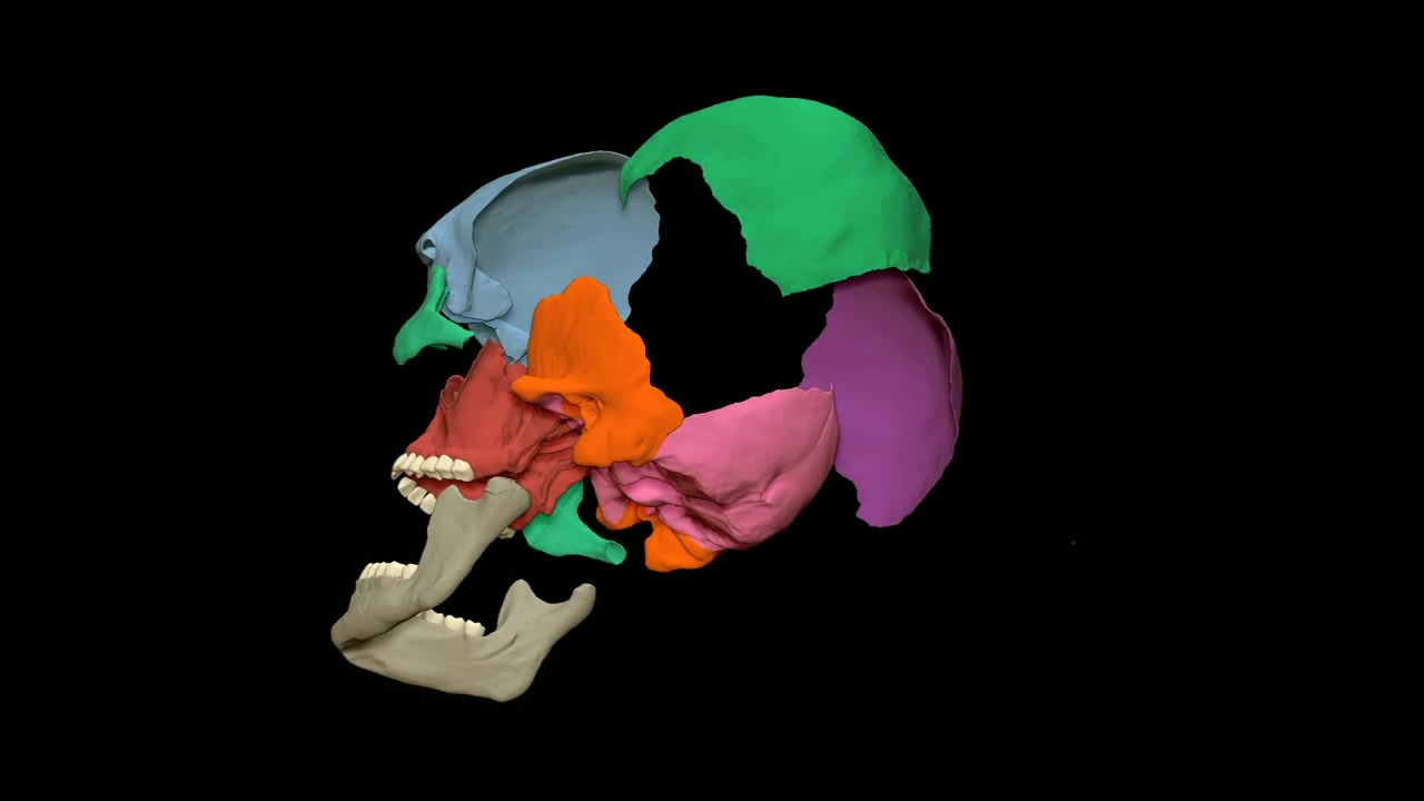 EVERYDAY ROBOTS - Coub