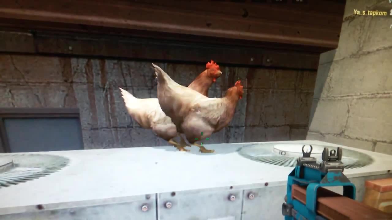 Куриный рэйв в CS GO/ Chicken rave CS GO - Coub
