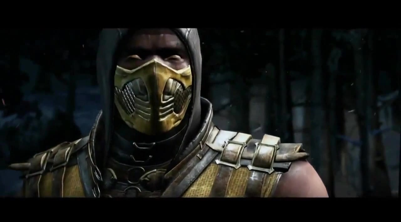Mortal Kombat: Scorpion vs Sub-Zero - Coub