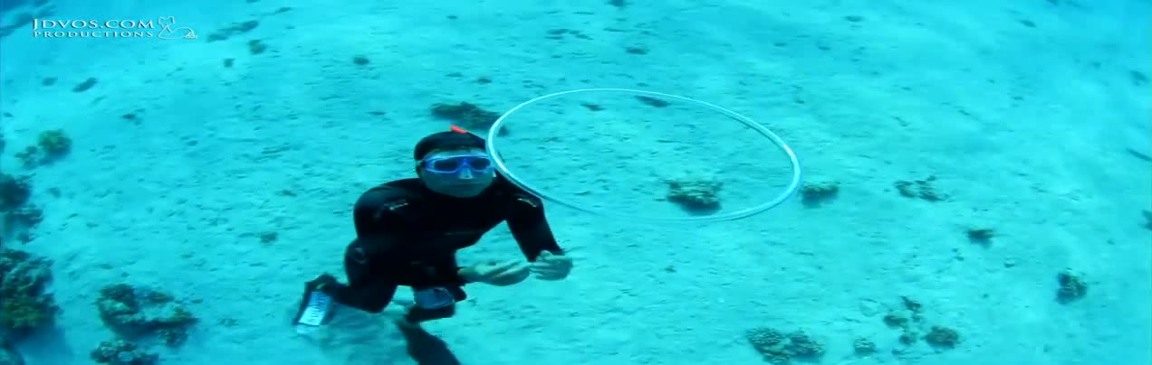 Freediving fun - Coub - The Biggest Video Meme Platform