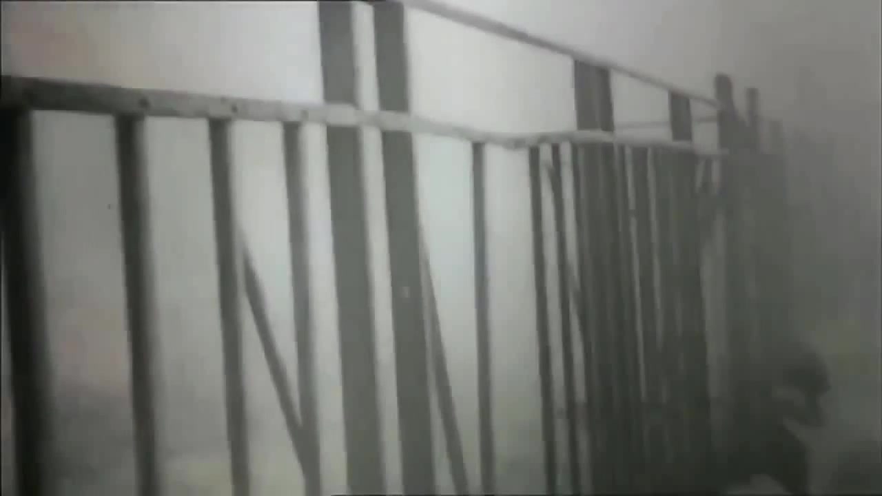 Waffen SS Tribute - Coub