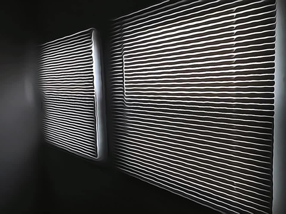 patrick scheidegger, m.f.a. - Coub - The Biggest Video Meme Platform