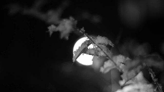 let through the darkness #livecoub - Coub