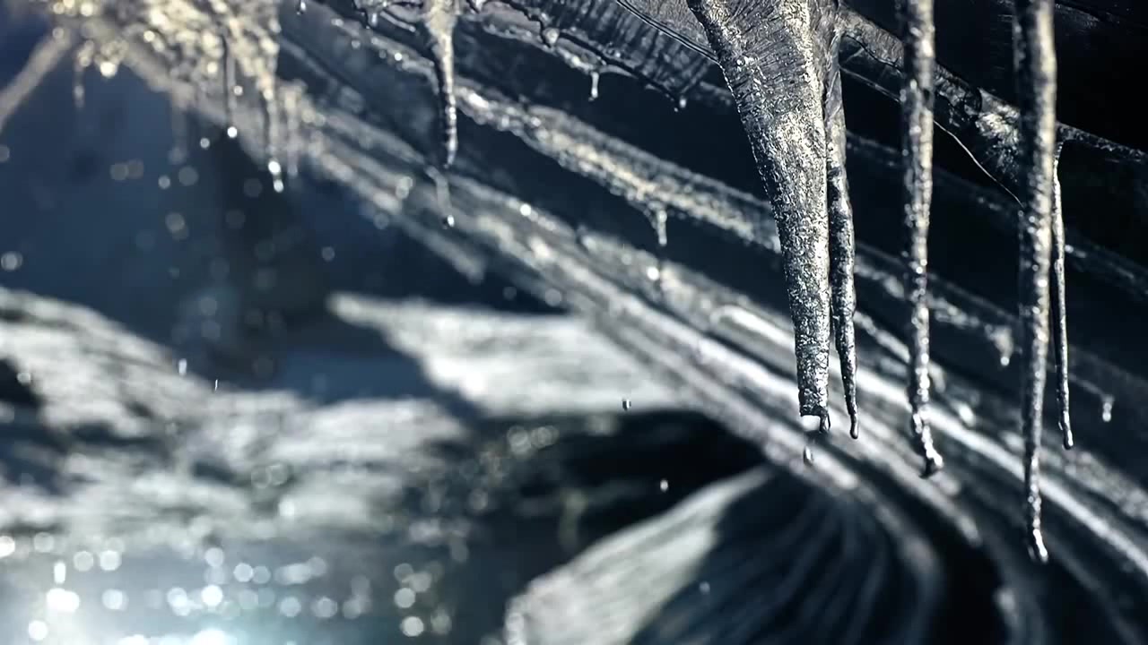 Spring Reverse - Coub