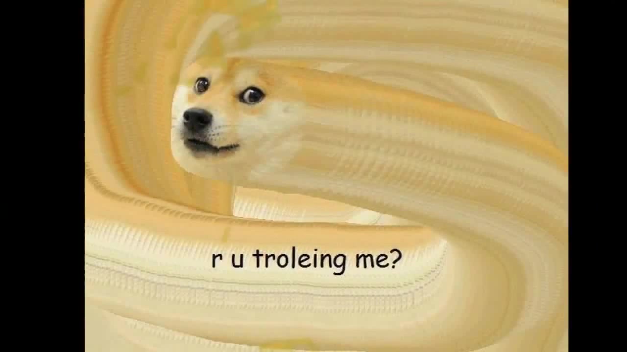 Doge Troll - Coub