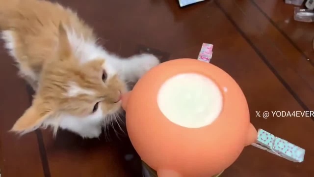 Get it off me! - Coub