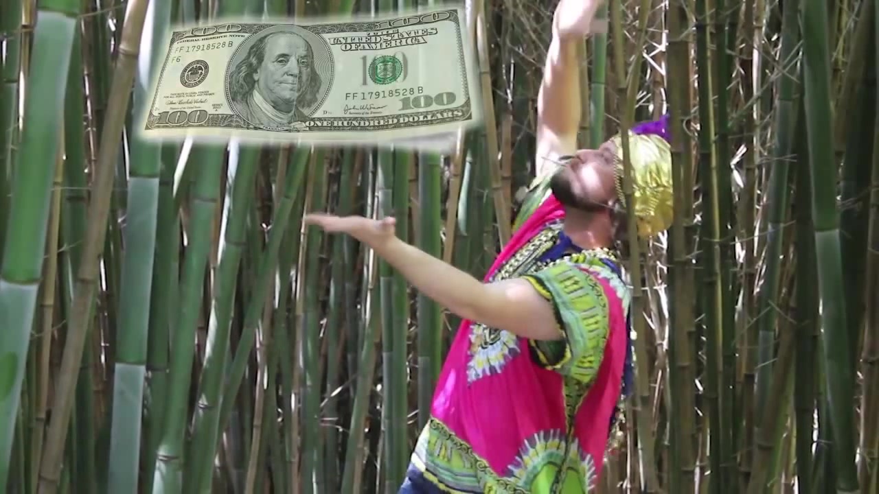 Big Money Salvia (Official Music Video) - Coub