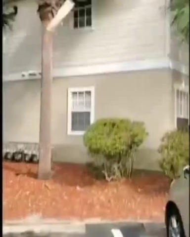 Cool wheelbarrow - Coub - The Biggest Video Meme Platform