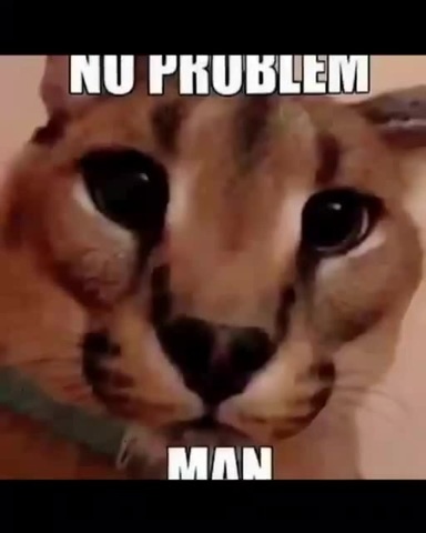 Without Me | Floppa Rave - Coub