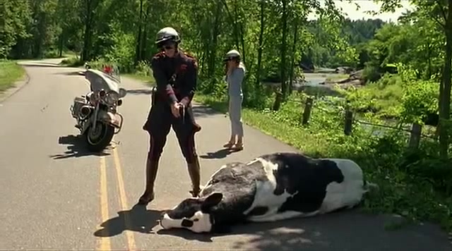 Shoot The Cow - Coub - The Biggest Video Meme Platform