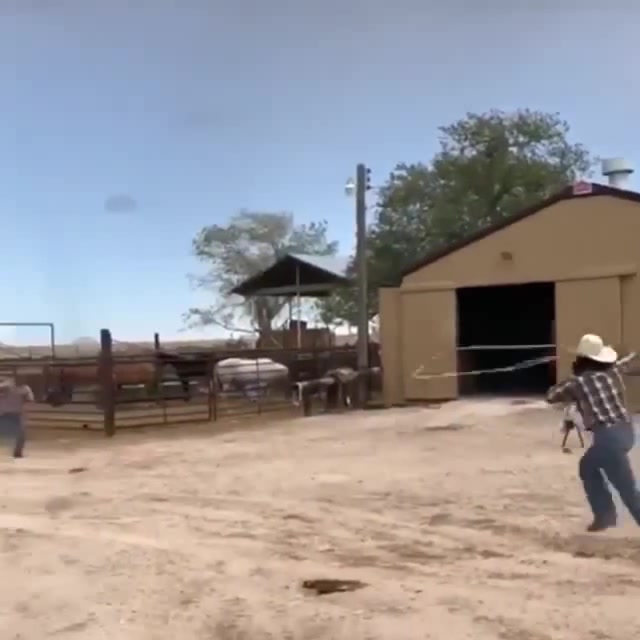 Cowboy Jousting - Coub