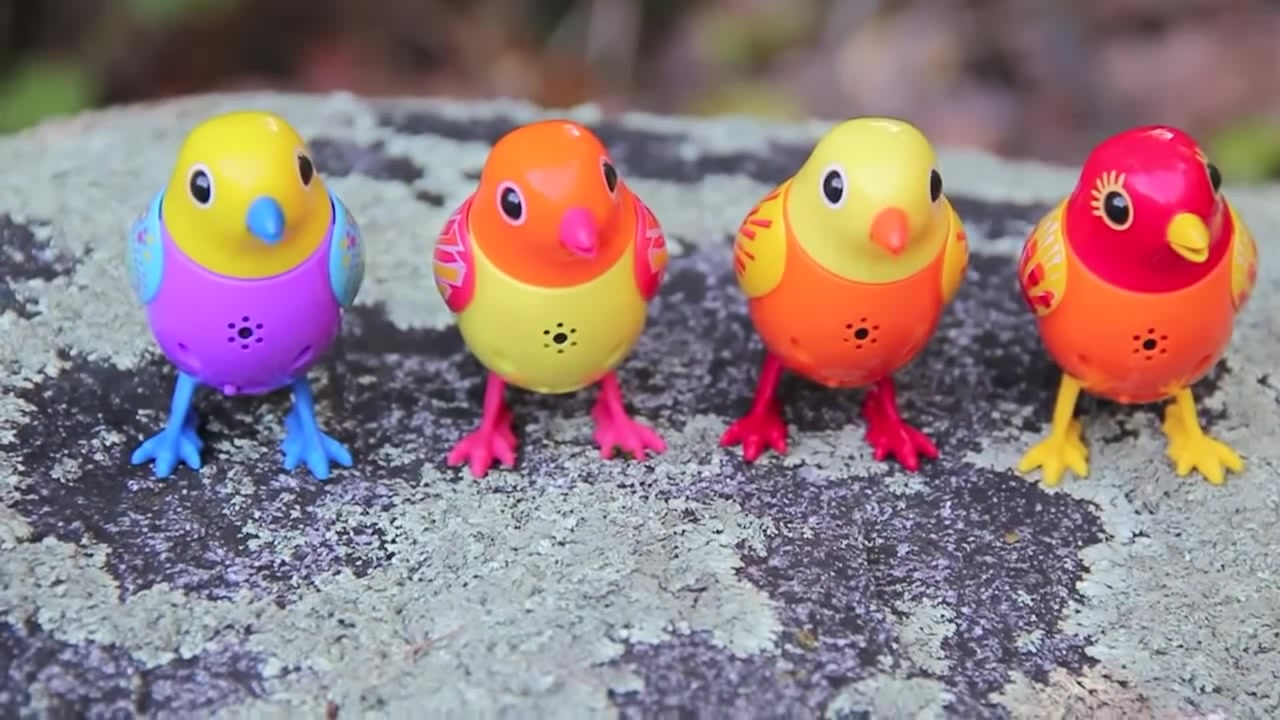 DigiBirds Review. Interactive, Tabletop Birds That Sing And Tweet - Coub