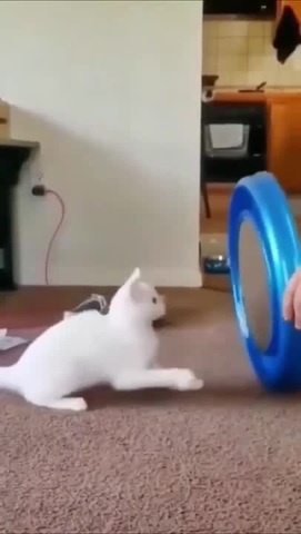 push the tempo - Coub