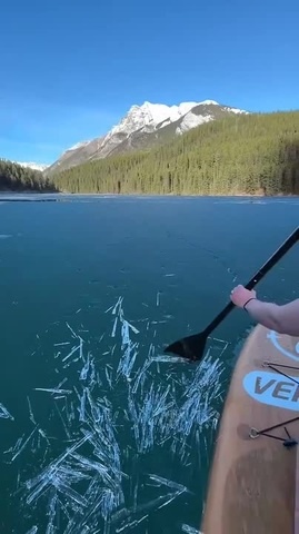 Ice everywhere - Coub