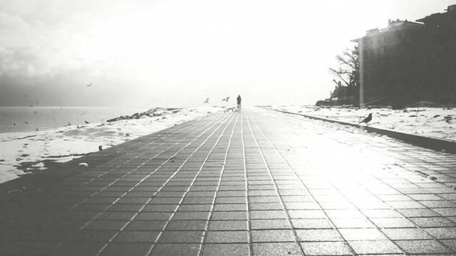 The Road - Coub - The Biggest Video Meme Platform