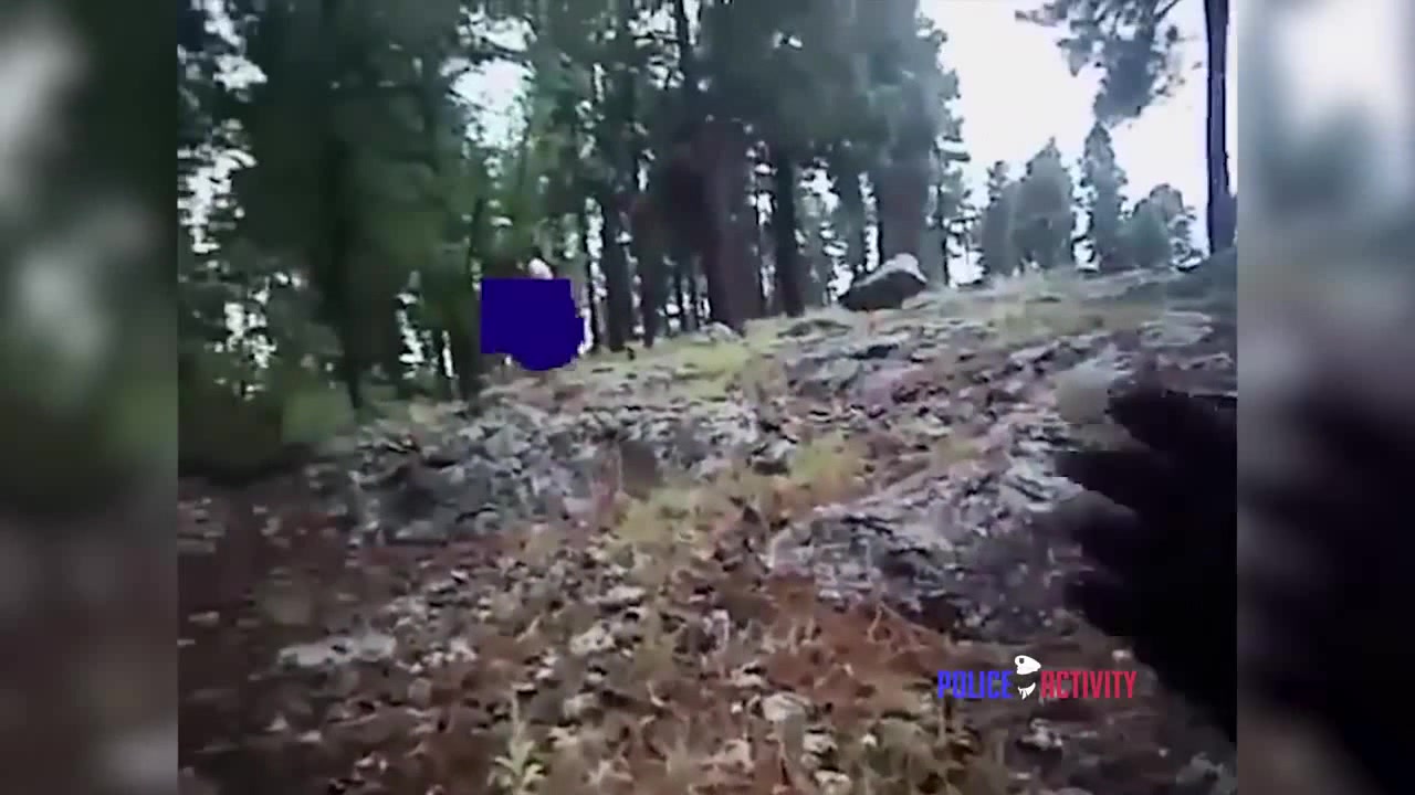 Police Bodycam Captures Arrest Of Naked Suspect - Coub