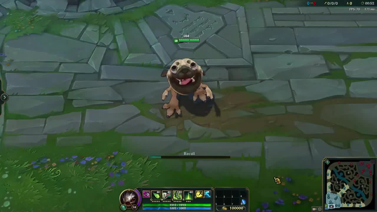 Pug'Maw (Pug/Doggo Kog'Maw) Skin Spotlight - Pre-Release - League of ...