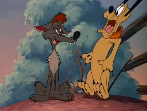 Pluto was not surprised and gets angry to the coyote - Coub