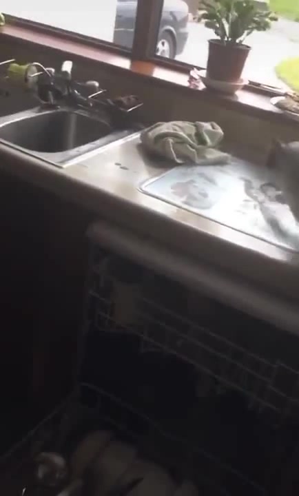 Nice technique - Coub