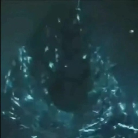 godzilla vs kong - Coub