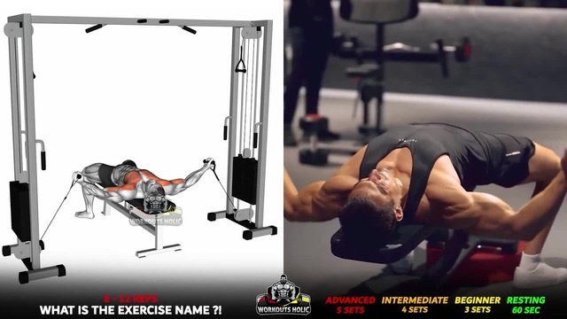 15 Chest Triceps and Biceps Exercises - Gym Workout Motivation - Coub ...