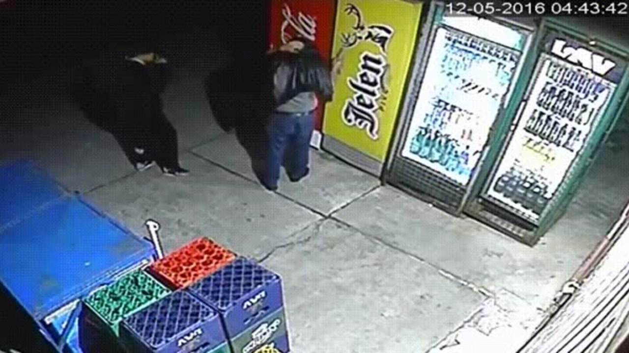 human vs icebox - Coub