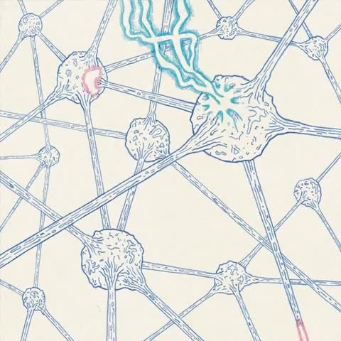 Where is my mind? - Coub