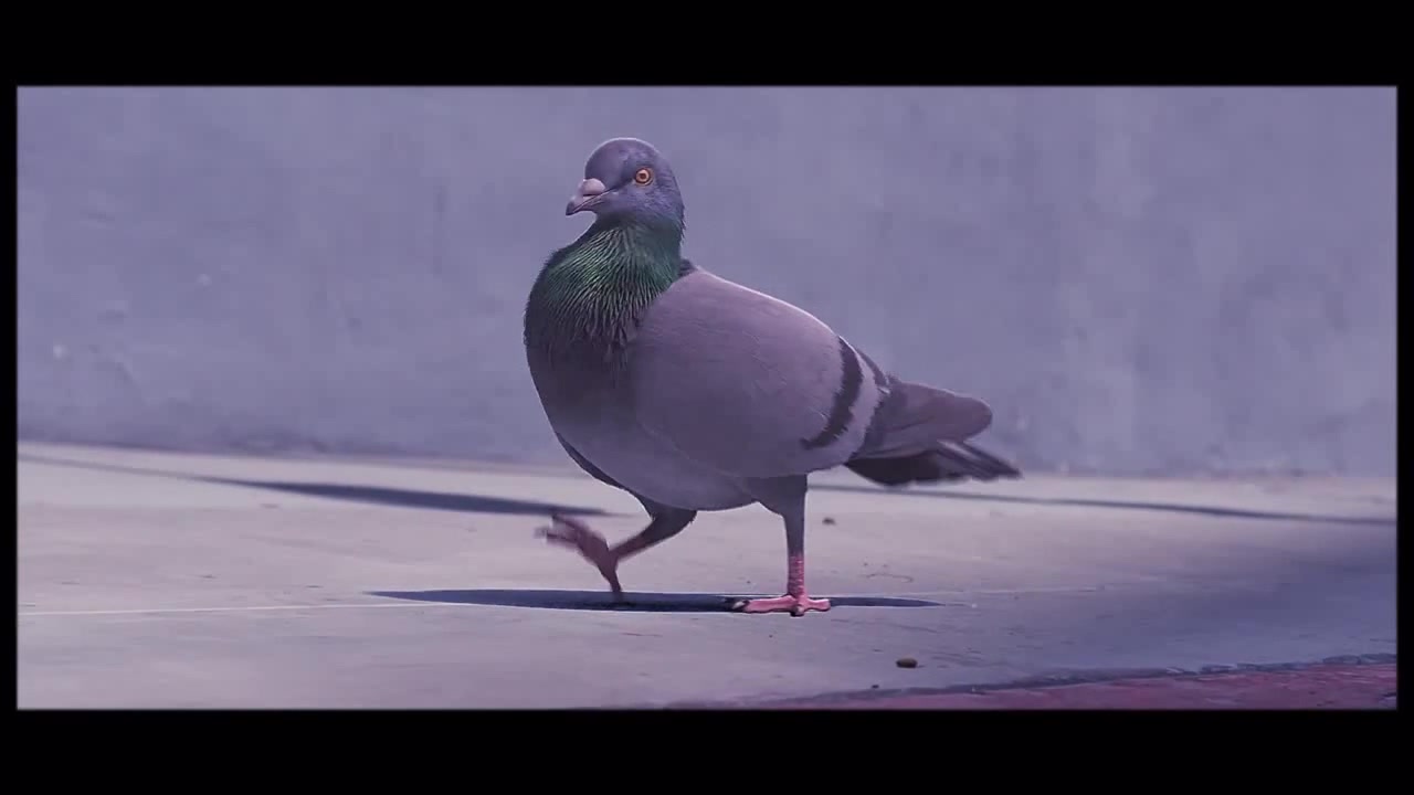 Emmit Fenn - Who Dat - Coub