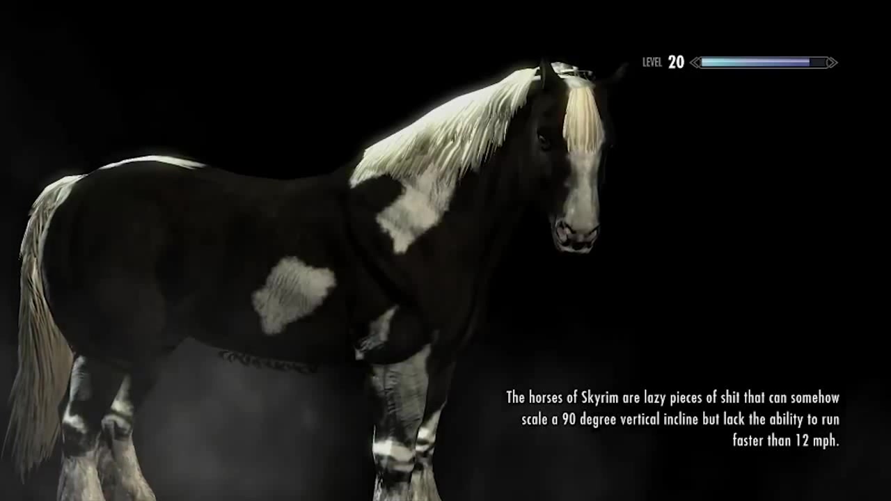 Ultimate Skyrim - Coub - The Biggest Video Meme Platform