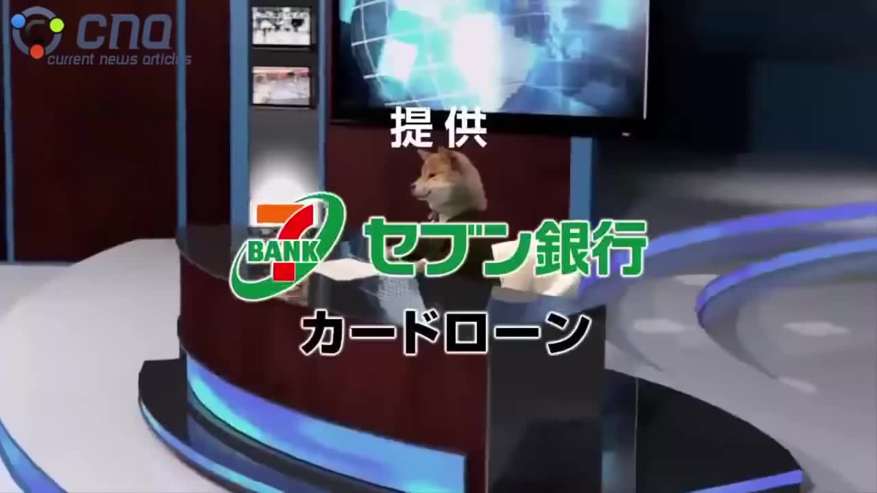 Doge TV presenter - Coub