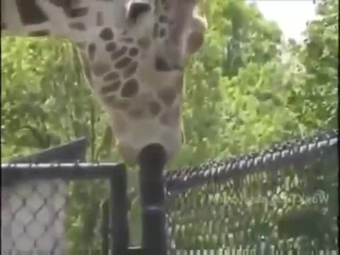 Keep on doing it - Coub