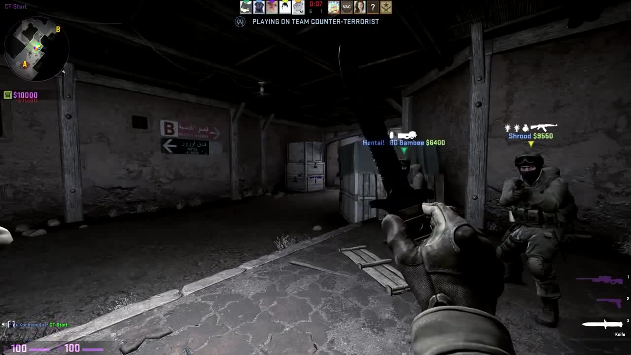 Nepgya in CSGO - Coub