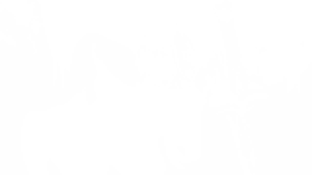 Walls Down - Coub - The Biggest Video Meme Platform