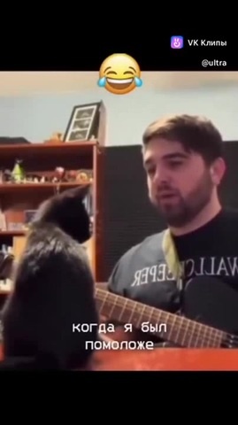 cat vs metalcore - Coub