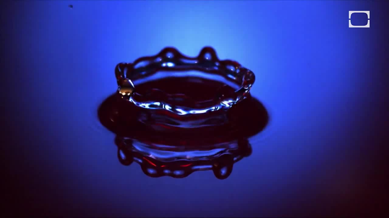 Delicate Water Droplets in slow motion - Coub