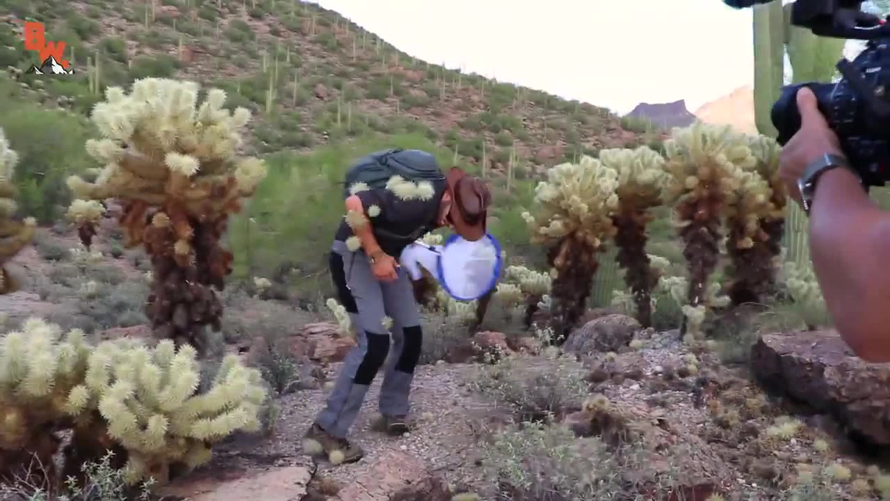 What up 🅱️itch - Coub - The Biggest Video Meme Platform