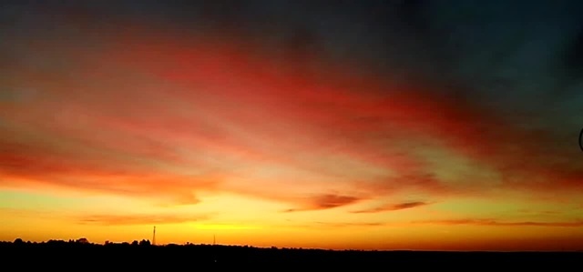 Other side of Grisha Oniani - Coub