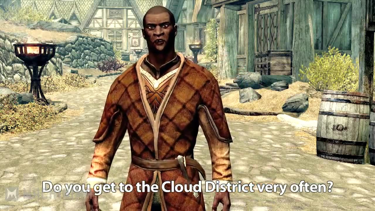 Gamer Poop - Skyrim (#5) - Coub - The Biggest Video Meme Platform