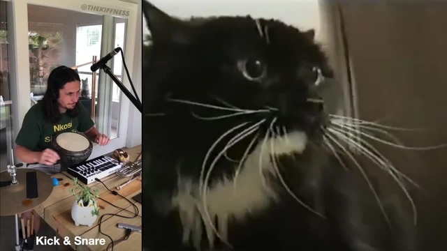 Oh Long Johnson x The Kiffness (Talking Cat Live Looping Reggae Remix ...