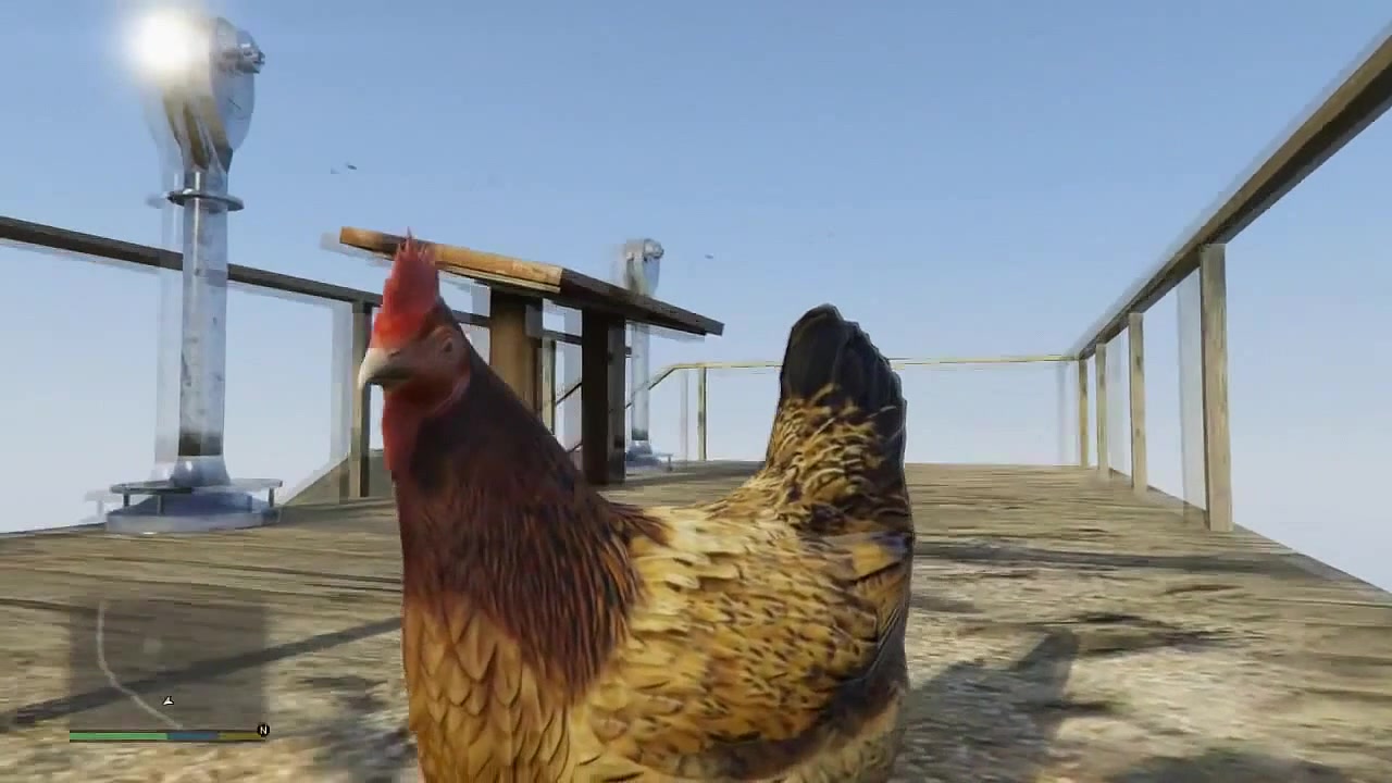 GTA 5 CHICKEN - Coub - The Biggest Video Meme Platform