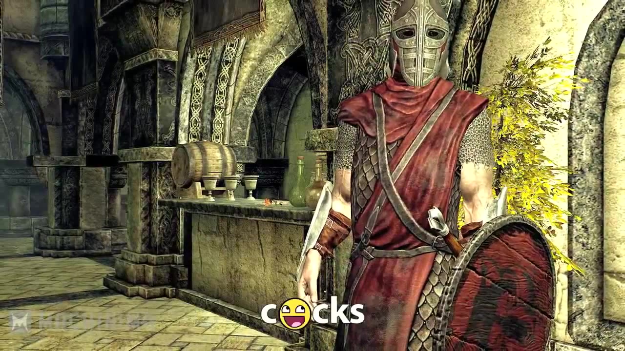 Gamer Poop - Skyrim - Coub