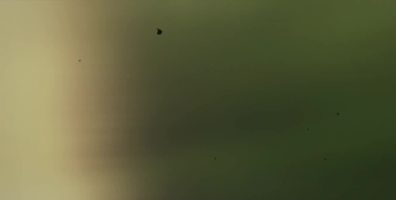 [Dark S1de] Neverland [Re:make] - Coub