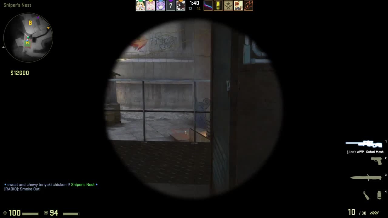 CSGO and Wolf. - Coub