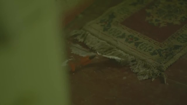 Wild Belle - Keep You (Official Video) - Coub