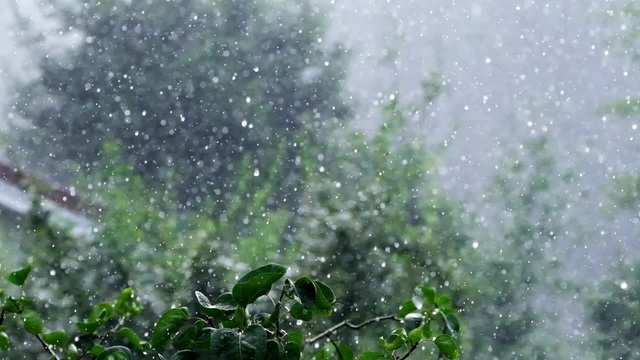 Rain. Again) - Coub - The Biggest Video Meme Platform