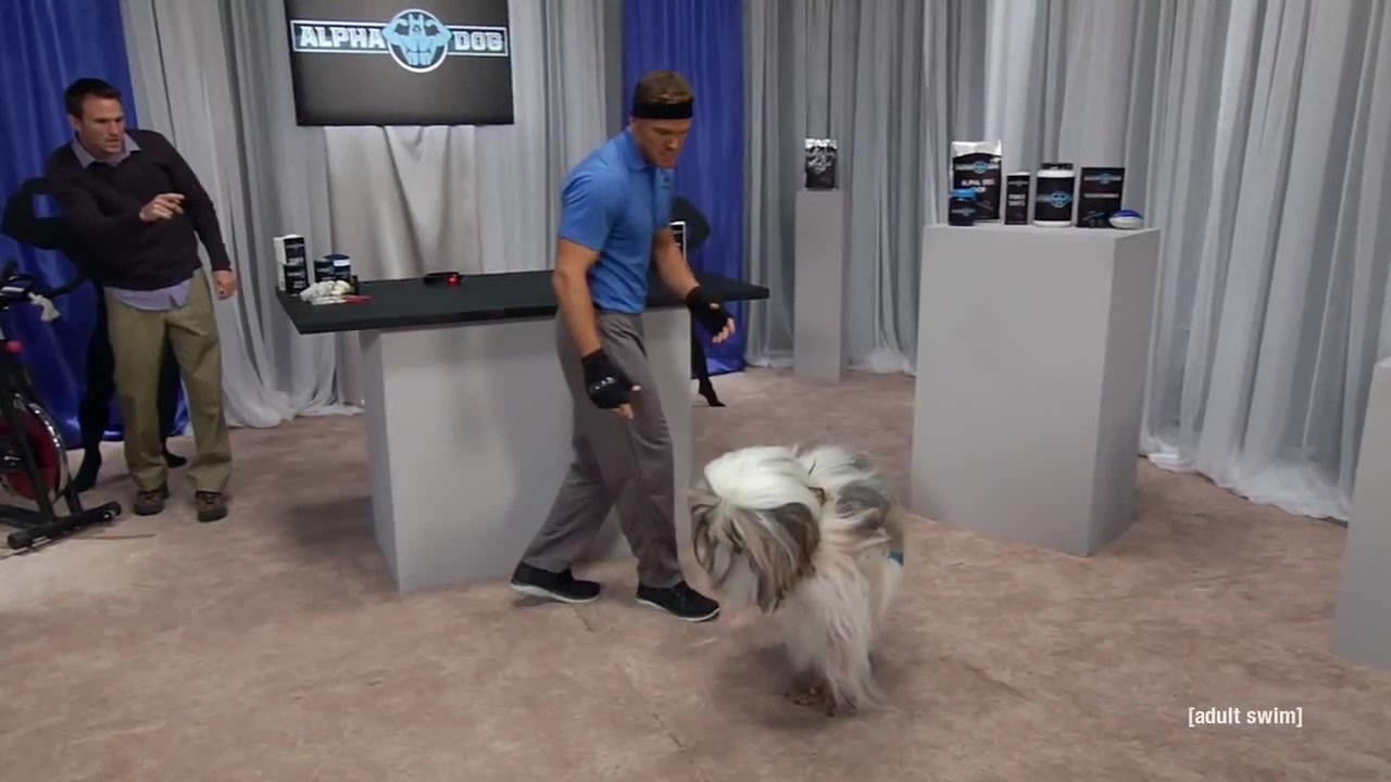 Alpha Chow | Infomercials | Adult Swim - Coub