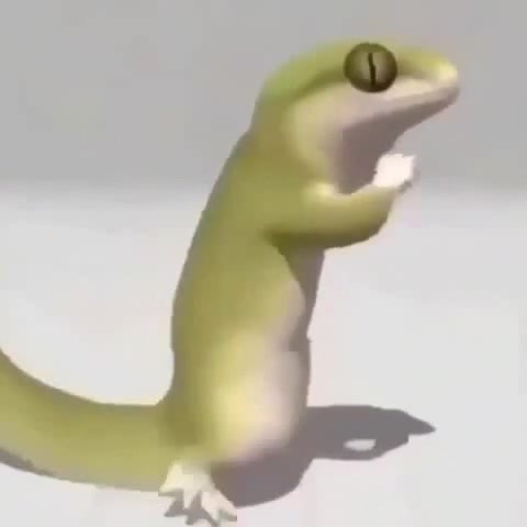 The lizard is dancing - Coub