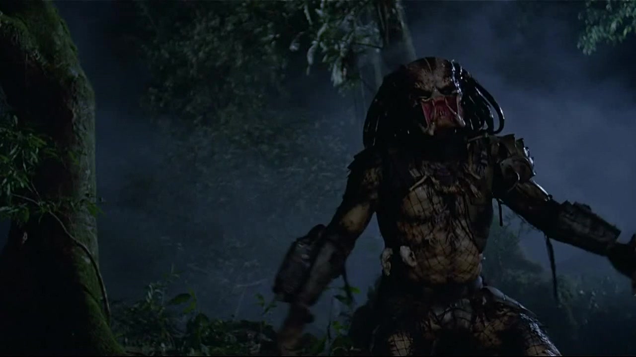 Gendarme vs Predator - Coub