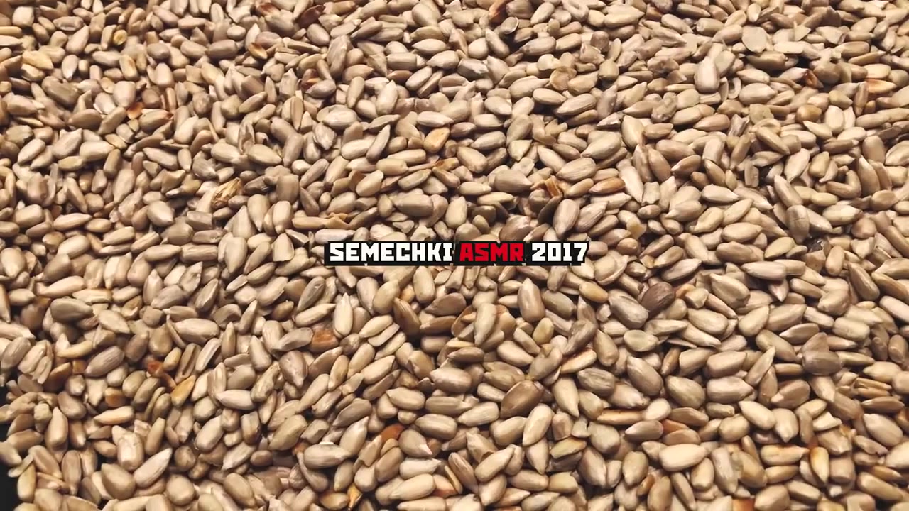 Semechki ASMR 2017 - Coub